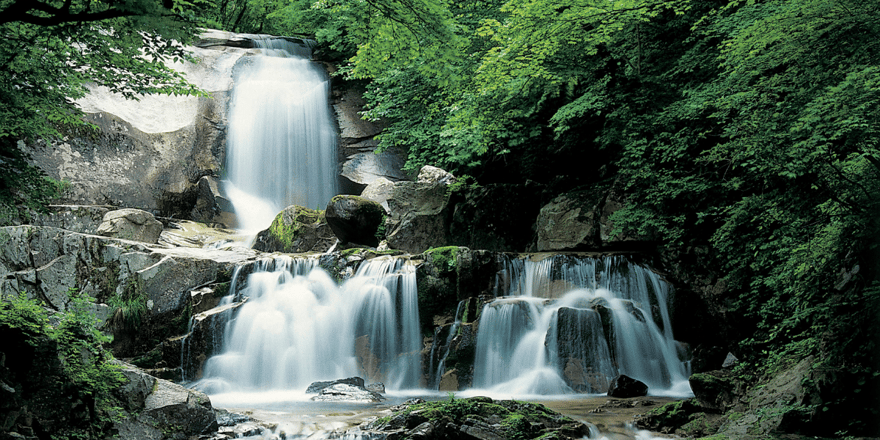 10 winning Lead Generation Examples and Campaigns